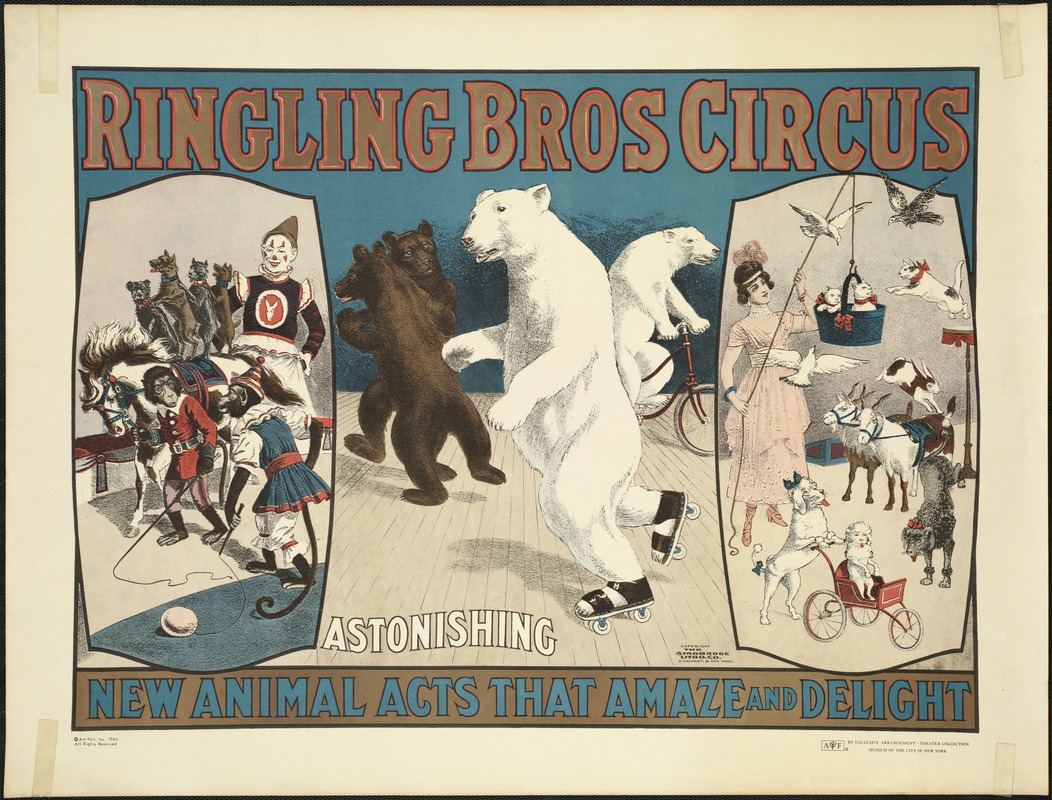 Ringling Bros Circus : Astonishing new animal acts that amaze and ...