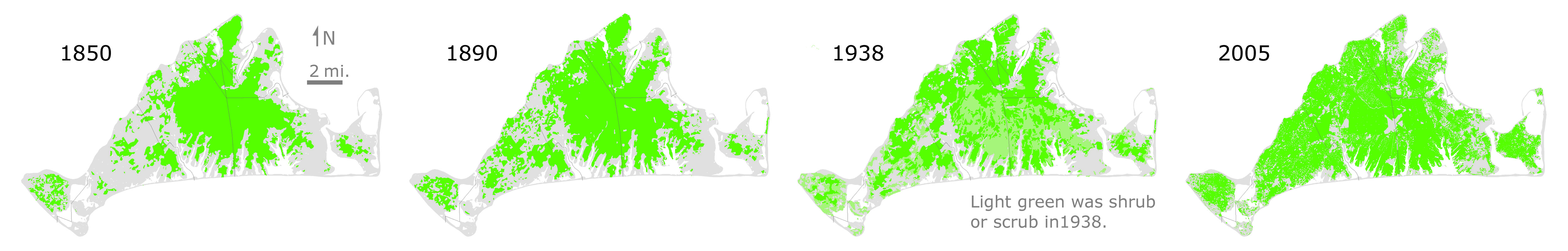 Making of the Modern Forest Cover - Digital Commonwealth