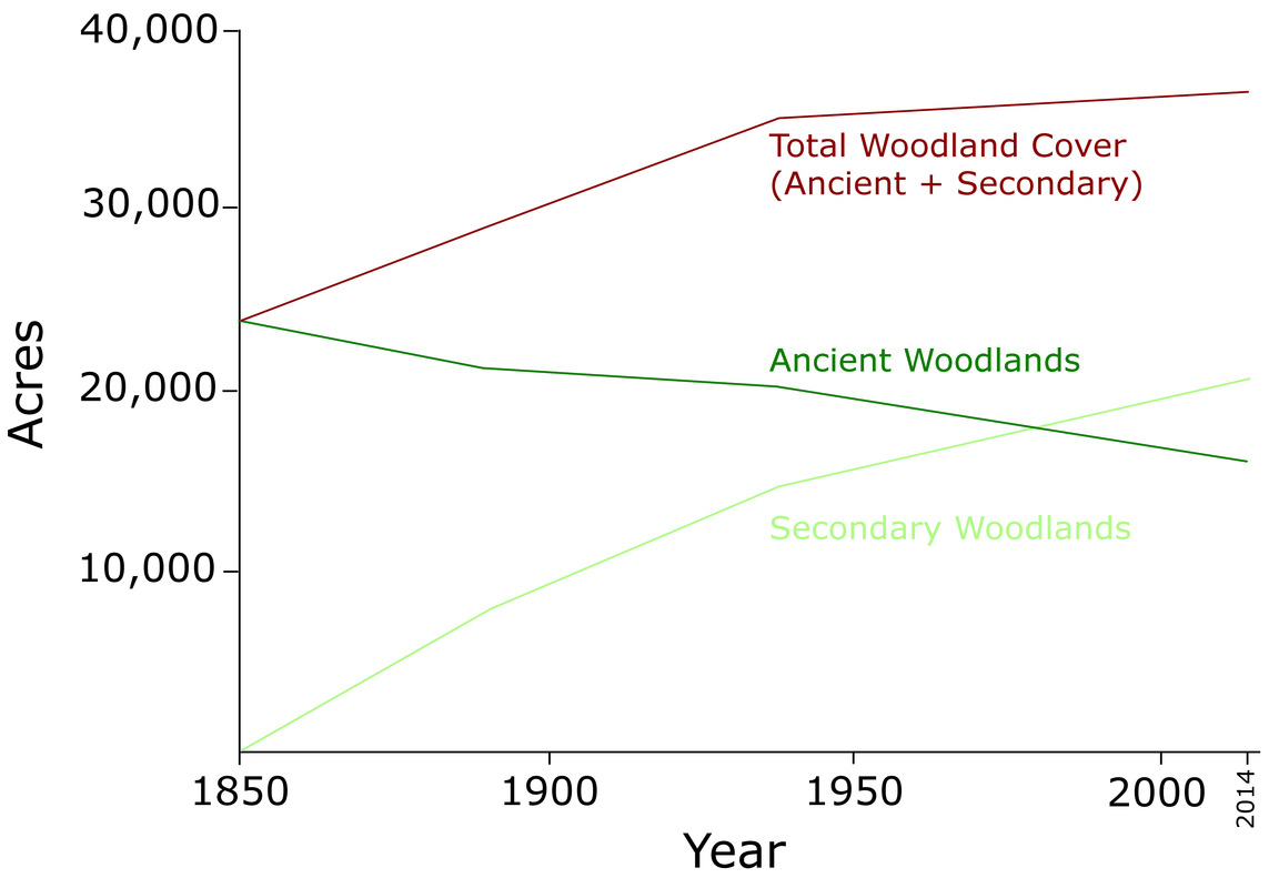 Patterns of Changing Forest Cover - Digital Commonwealth