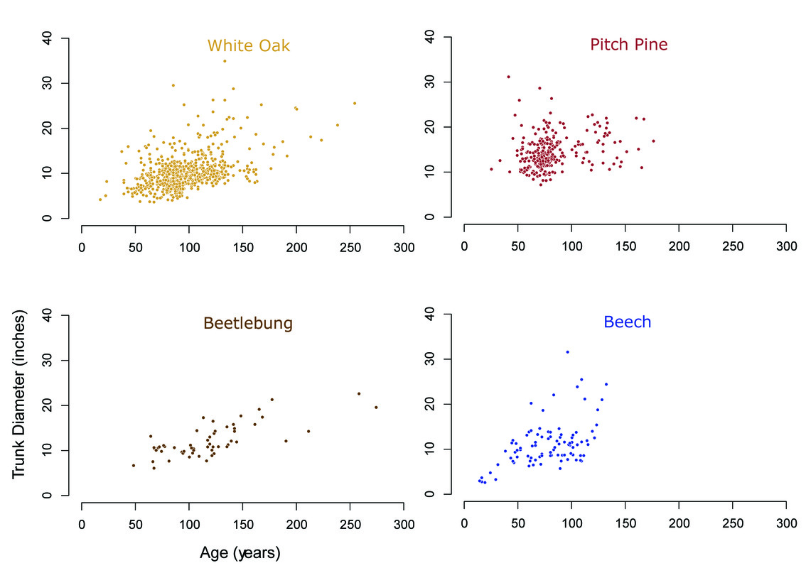 Major Tree Species Growth Rates, Size and Age - Digital Commonwealth