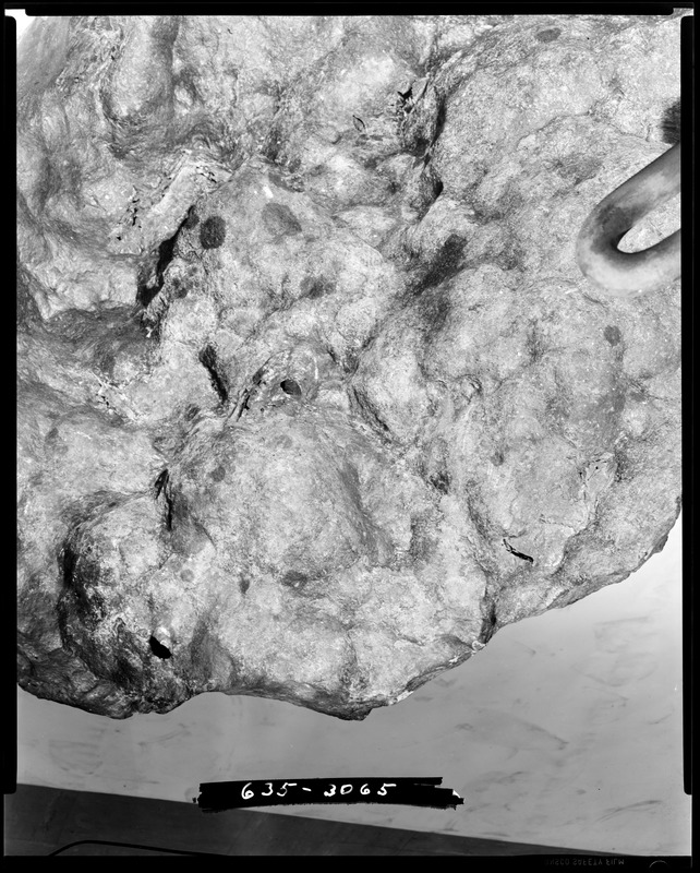 View of iron meterorite - Digital Commonwealth