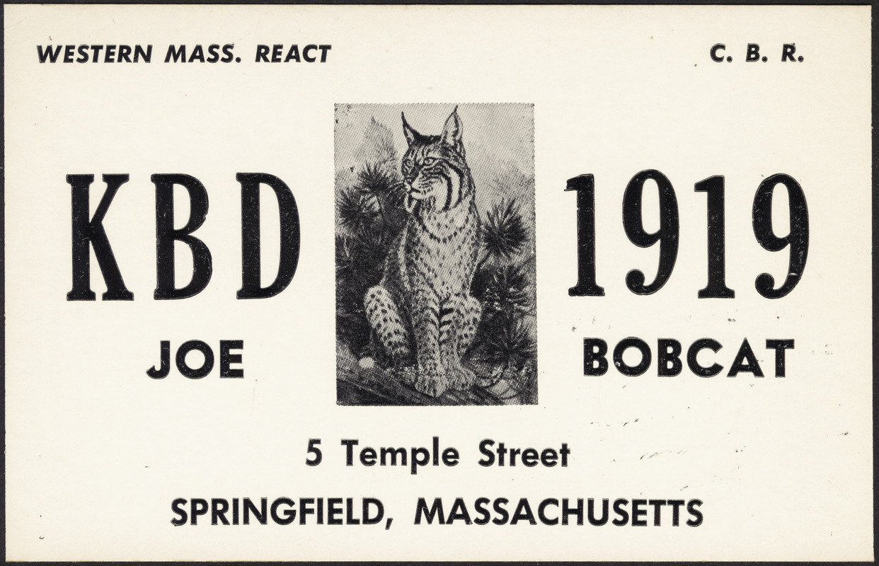 KBD 1919 Joe Bobcat 5 Temple Street Springfield, Massachusetts ...
