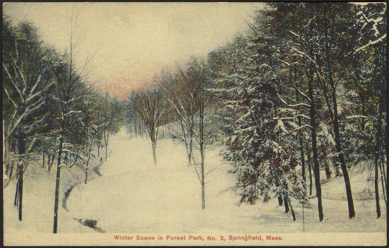 Winter scene in Forest Park, No. 2, Springfield, Mass. - Digital ...
