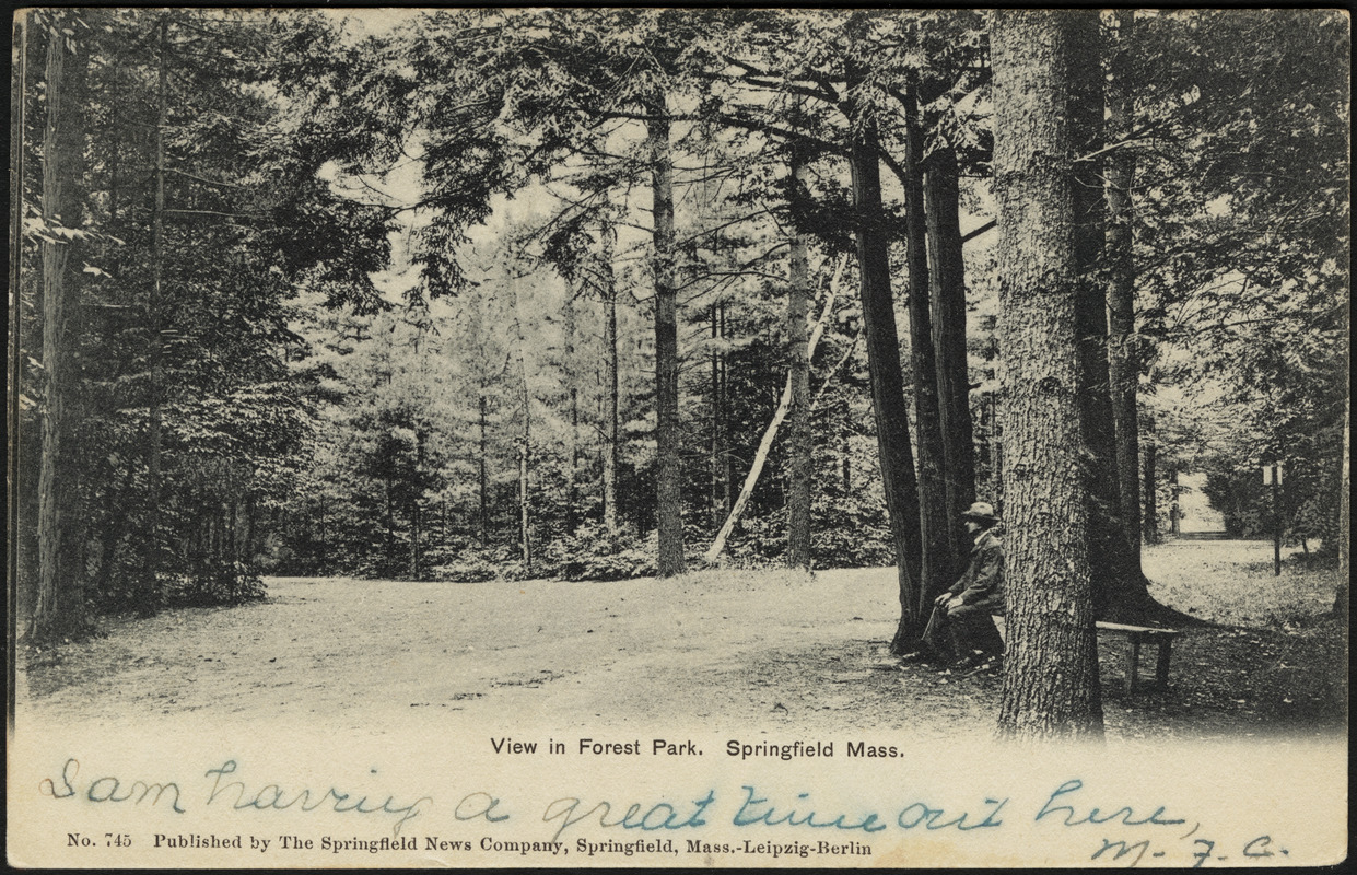 View in Forest Park. Springfield Mass. - Digital Commonwealth