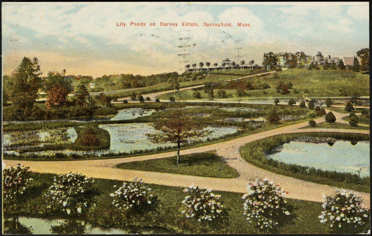 Lily Ponds on Barney Estate, Springfield, Mass. - Digital Commonwealth