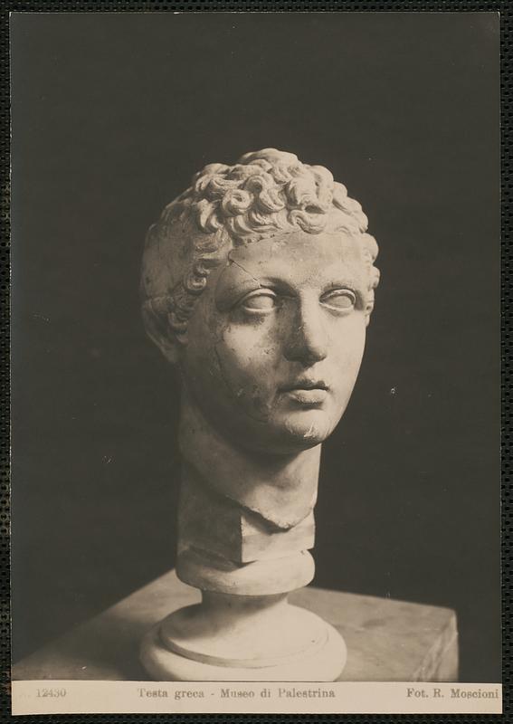 Testa greca - Museo di Palestrina - Digital Commonwealth