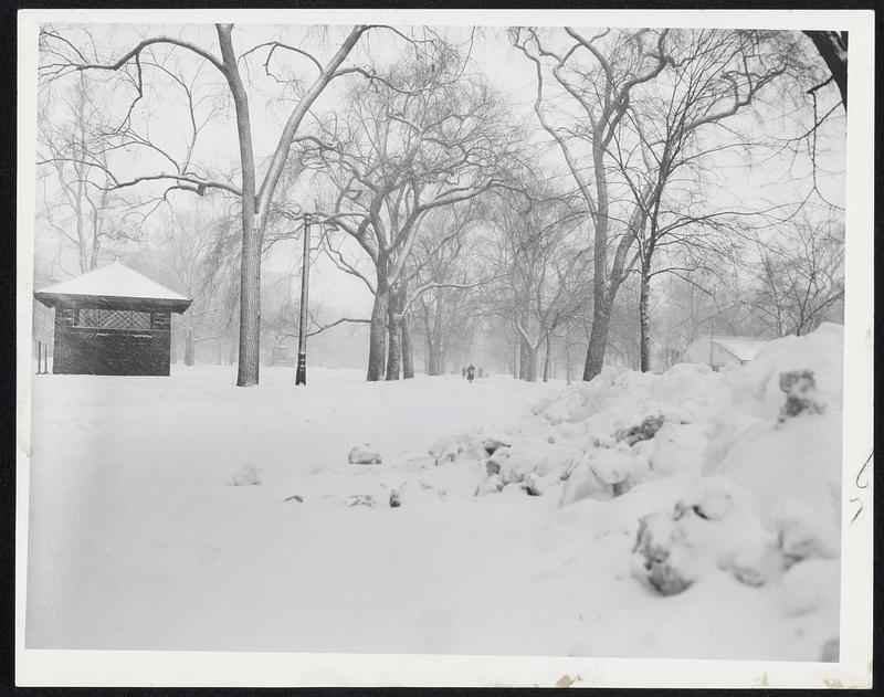 Fresh Mantle Of Snow covers Boston Common as new snowstorm struck today ...