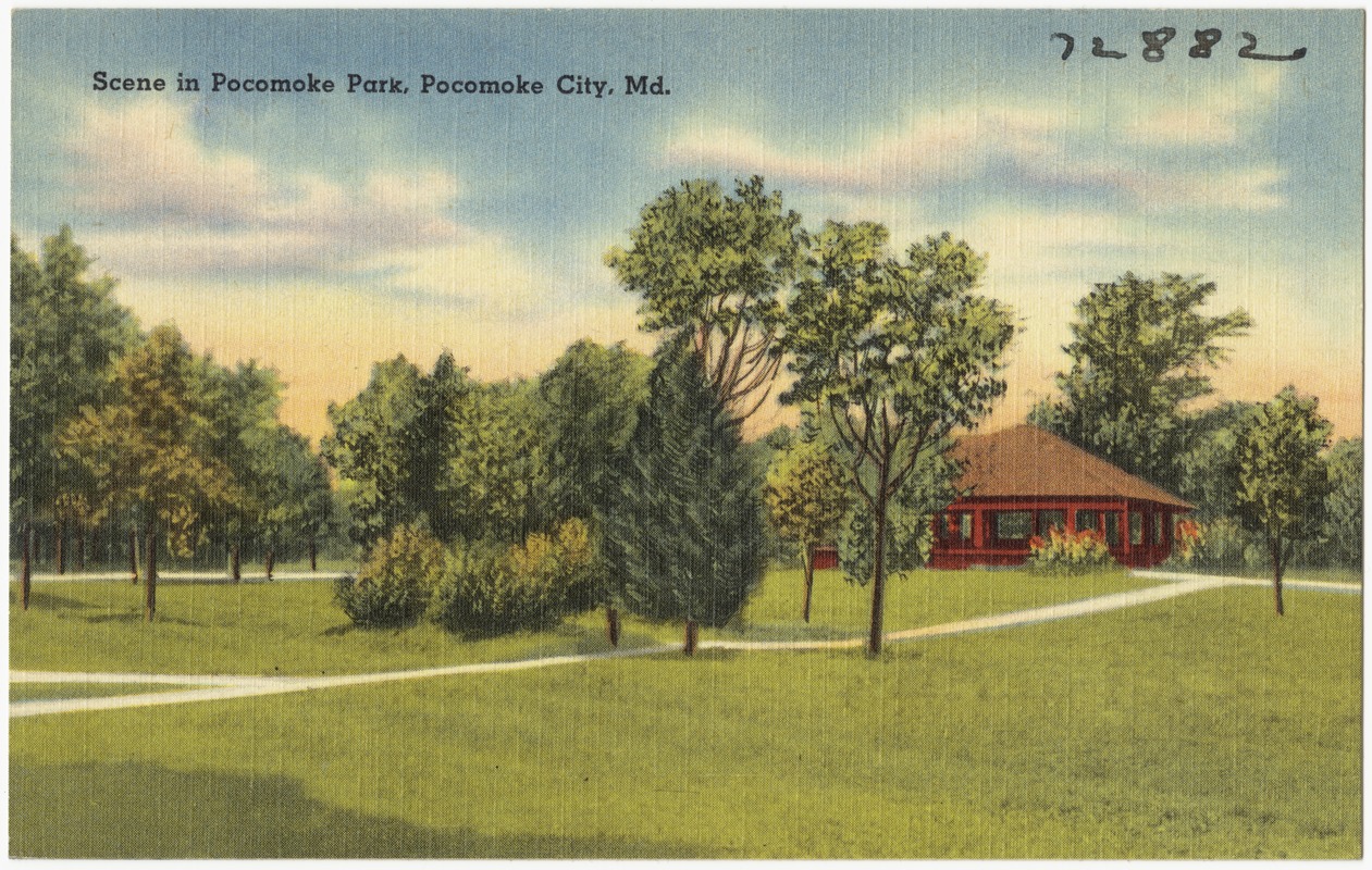 Scene in Pocomoke Park, Pocomoke City, Md. - Digital Commonwealth