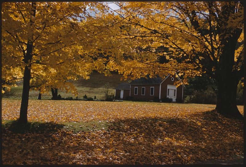 Country house and fall foliage - Digital Commonwealth