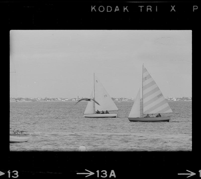American Yacht Club sail off race - Digital Commonwealth