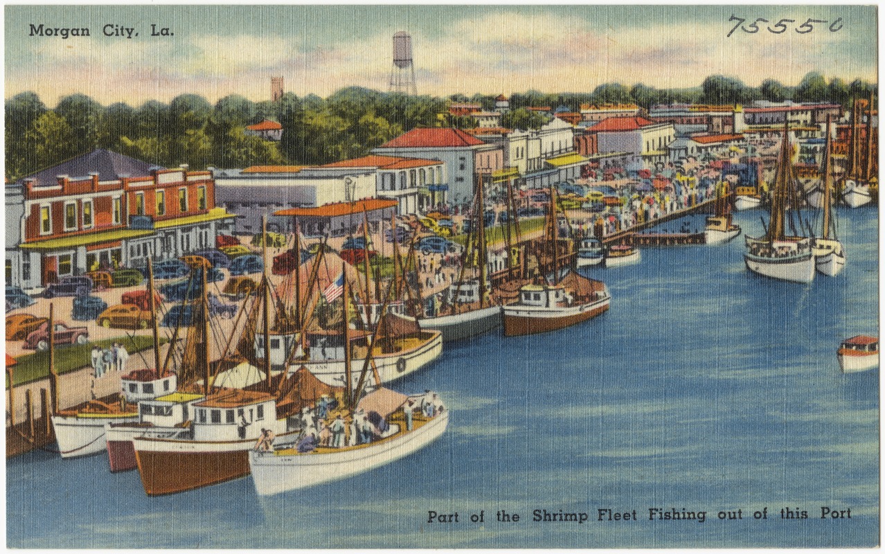 Part of the shrimp fleet fishing out of this port, Morgan City, La ...