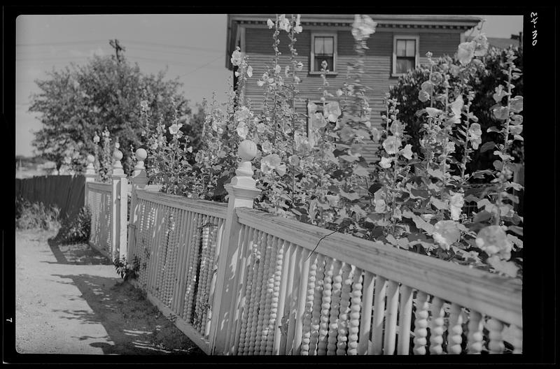 Hollyhock Lane at Rita Skelley blog