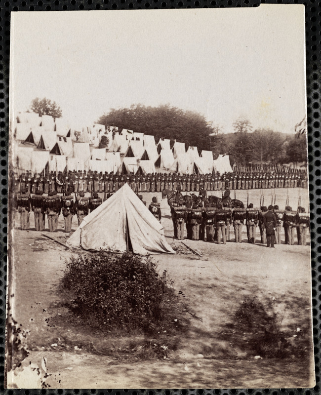 Review of the Excelsior Brigade - Digital Commonwealth