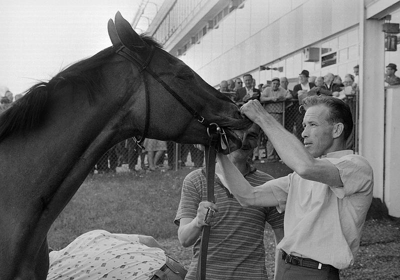 State Racing Commission inspection, Suffolk Downs, Boston - Digital ...