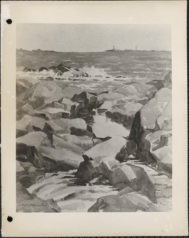 Tide pools - Digital Commonwealth