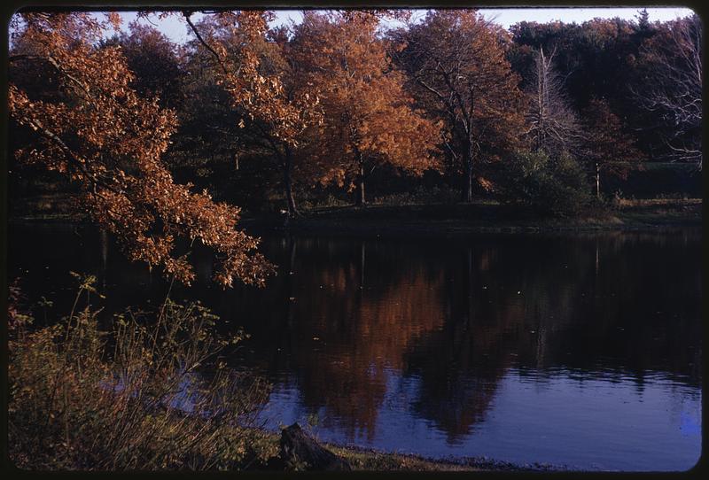 Trees showing fall foliage next to a body of water - Digital Commonwealth