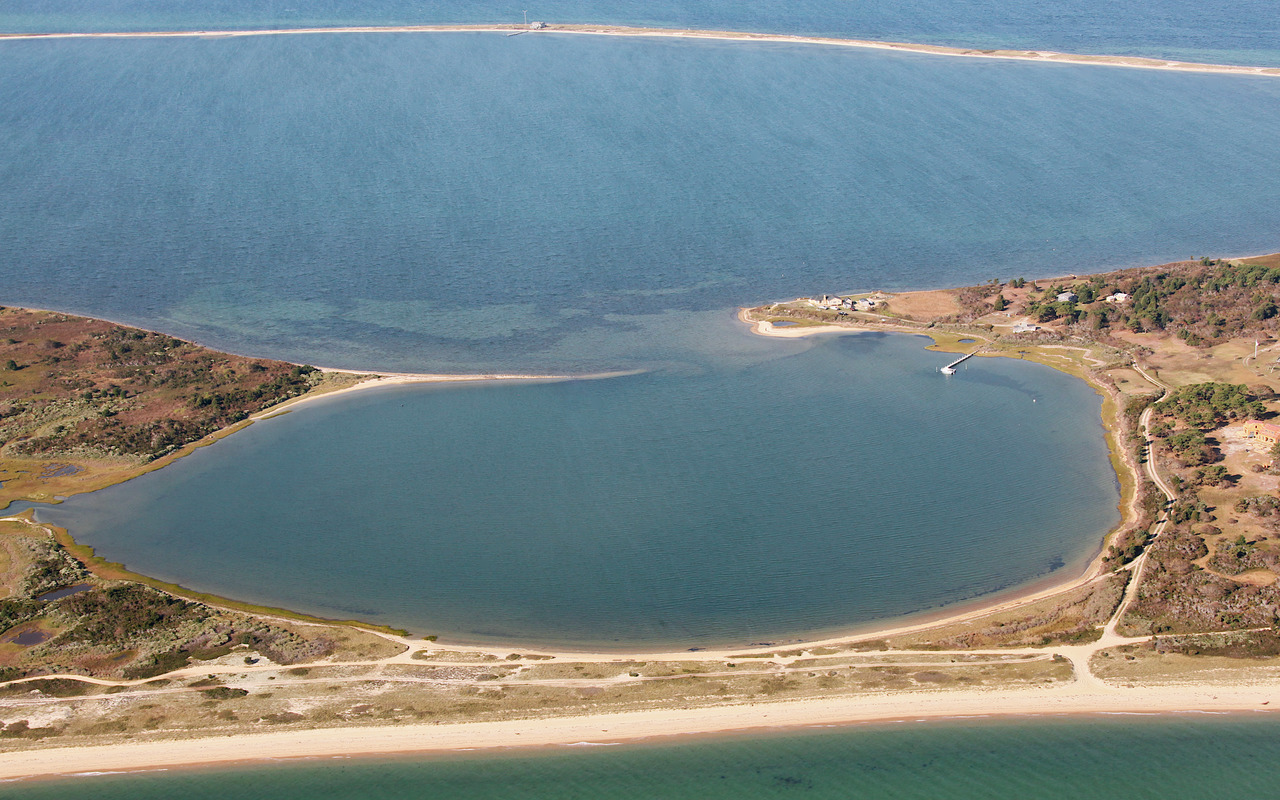 Aerial - Cape Poge and Shear Pen Pond - Digital Commonwealth