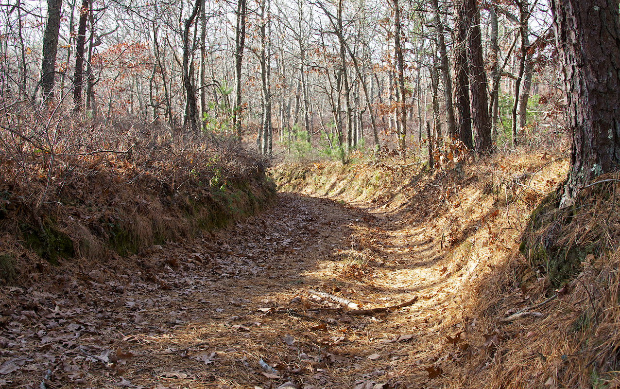 Merry Farm to Ripleys - Digital Commonwealth