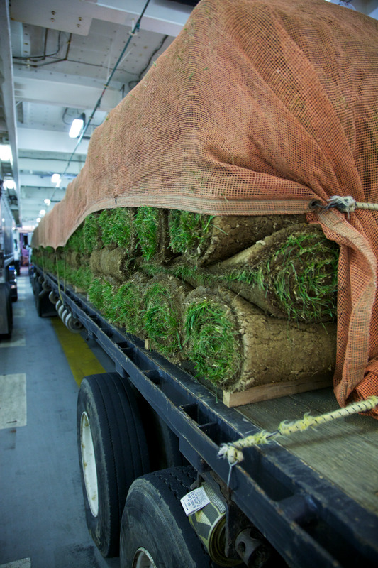 Ferry - Turf from Rhode Island - Digital Commonwealth