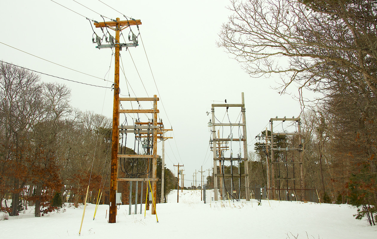 Power Lines through West Chop Woods - Digital Commonwealth