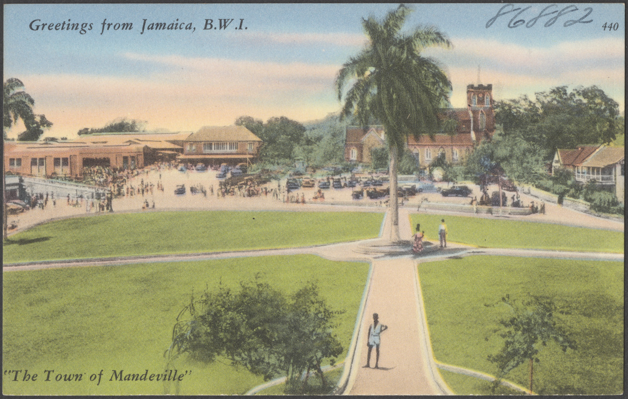 Greetings from Jamaica, B.W.I. "The town of Mandeville" - Digital ...