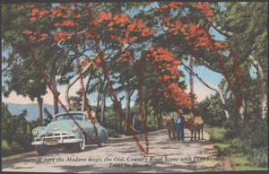 Typical country hut, Puerto Rico - Digital Commonwealth