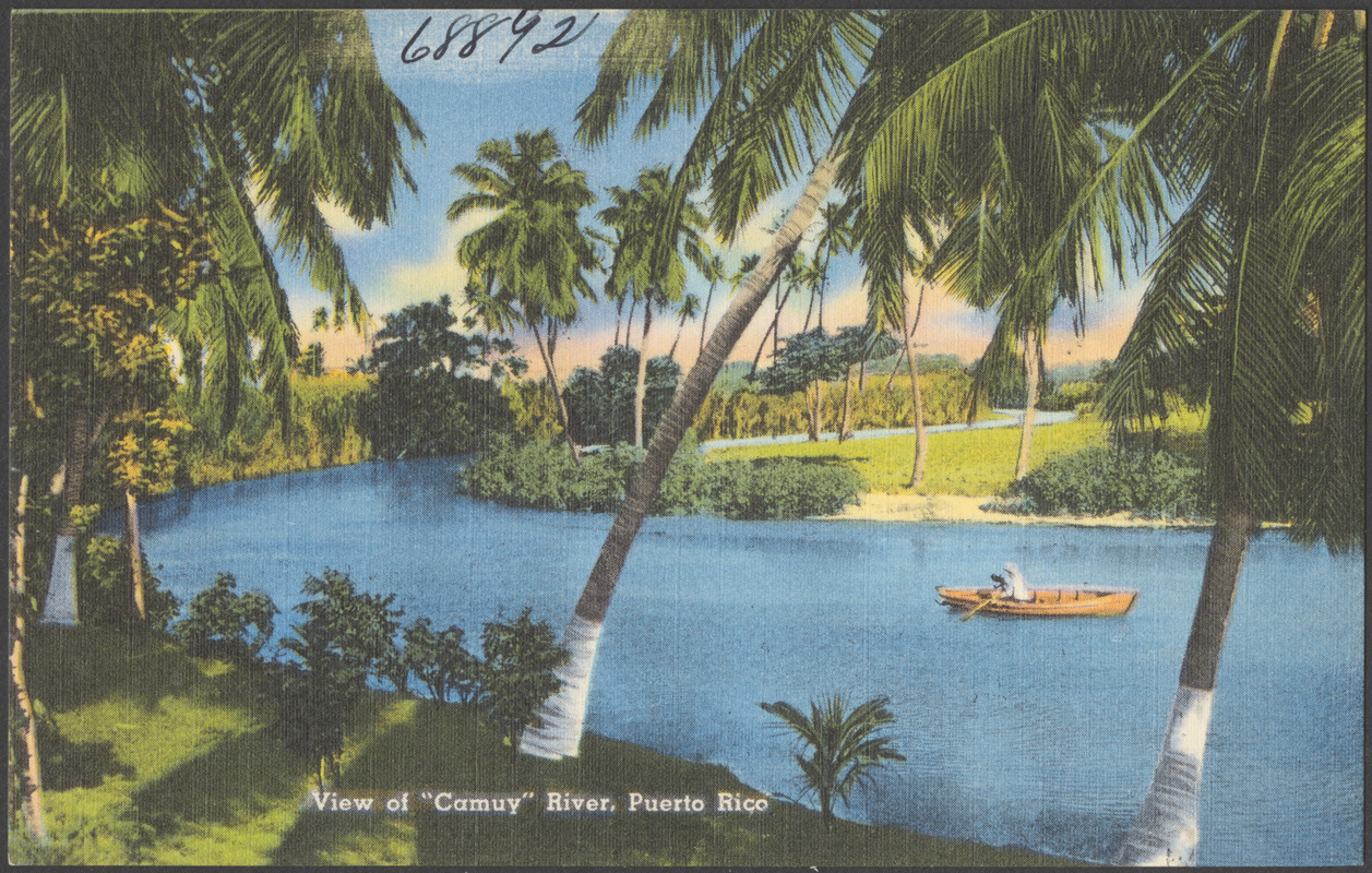 View of "Camuy" River, Puerto Rico - Digital Commonwealth