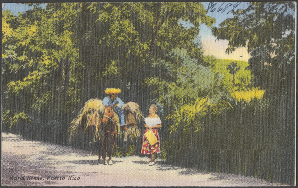 Rural scene, Puerto Rico - Digital Commonwealth