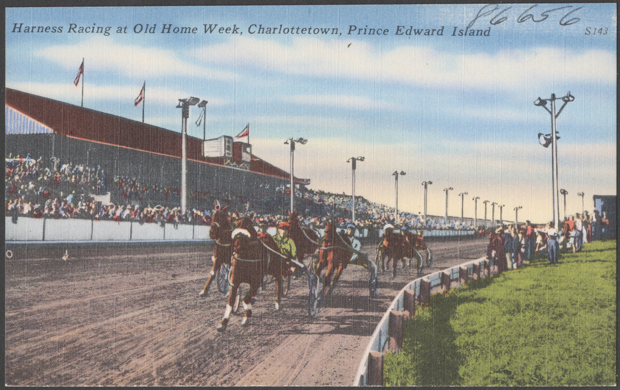 Harness racing at Old Home Week, Charlottetown, Prince Edward Island ...