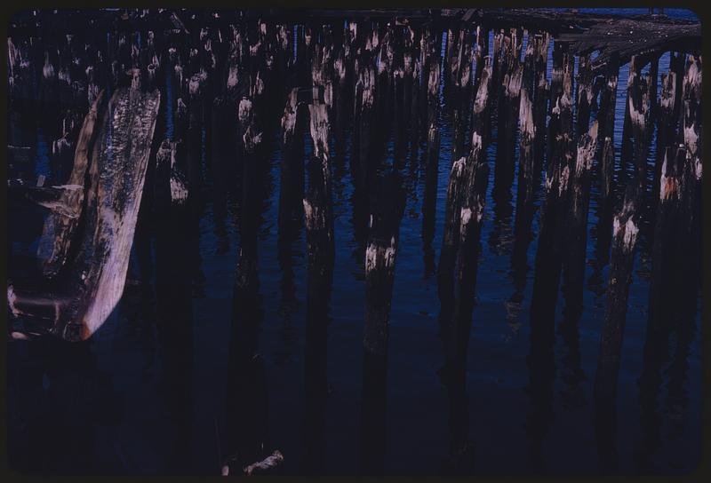 Wooden columns in water - Digital Commonwealth