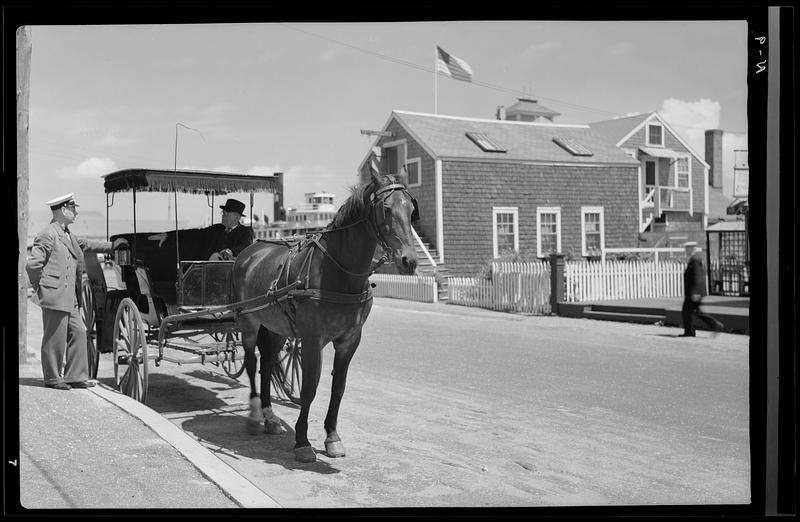 Surrey (carriage) and horse, Nantucket - Digital Commonwealth