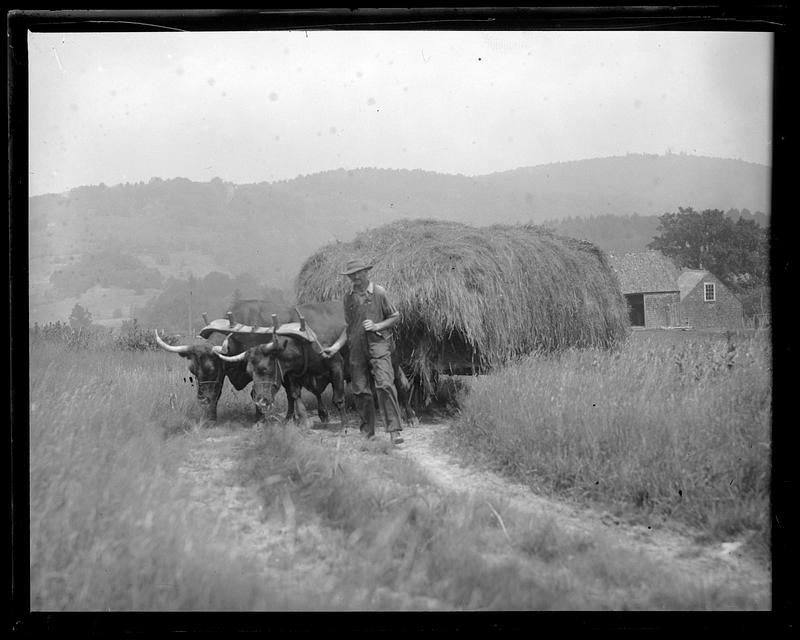 Hay cart - Digital Commonwealth