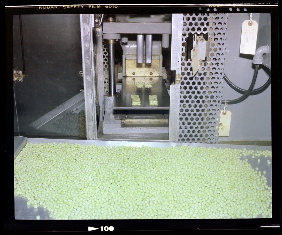 Food lab, freeze drying compressed peas - Digital Commonwealth