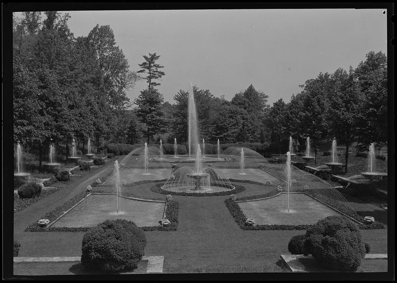 Water garden at Pierre S. du Pont's - Digital Commonwealth
