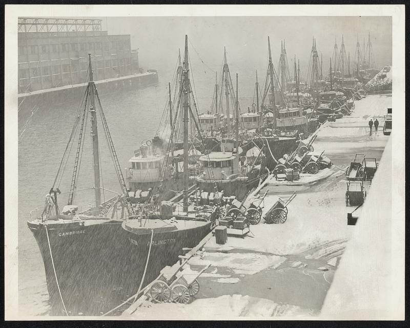 Fleet Tie-up--The large trawlers of the Boston fishing fleet are shown ...