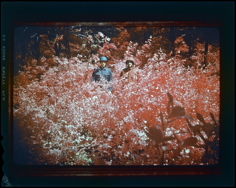 CEMEL, clothing, camouflage, infra-red (2 views) - Digital Commonwealth