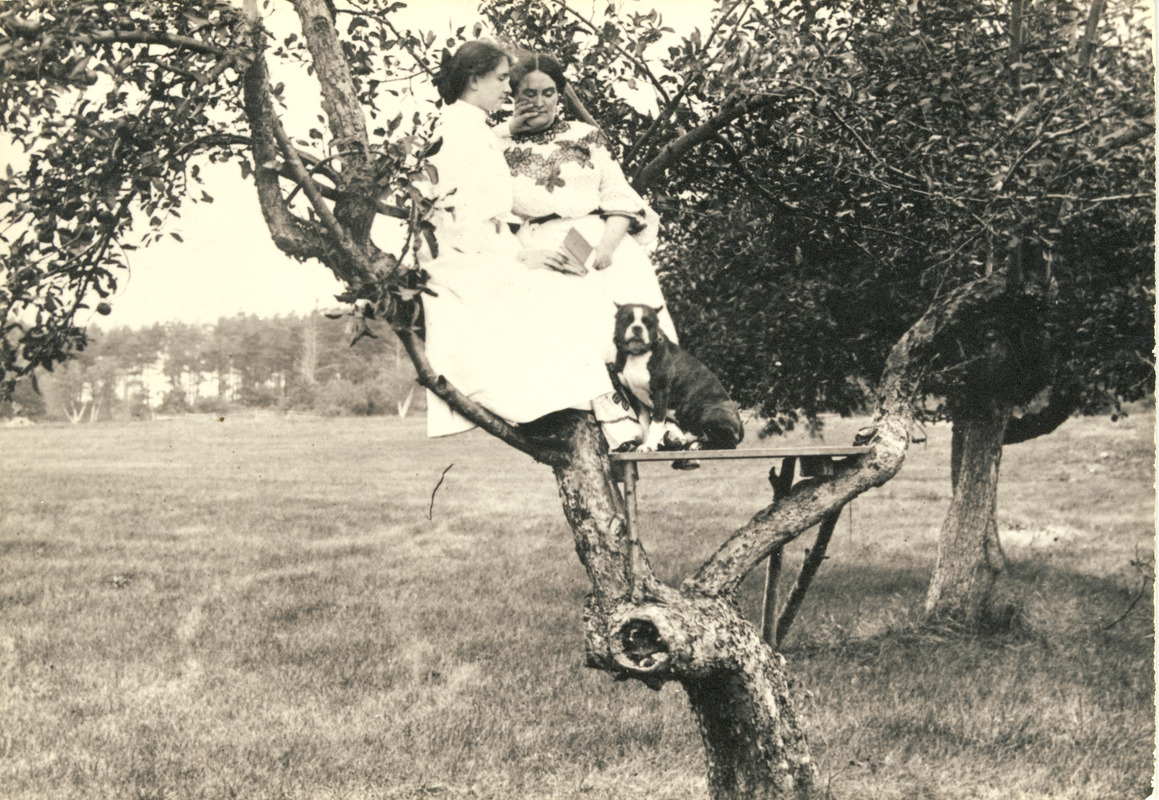 Helen Keller and Anne Sullivan Sitting in a Tree - Digital Commonwealth