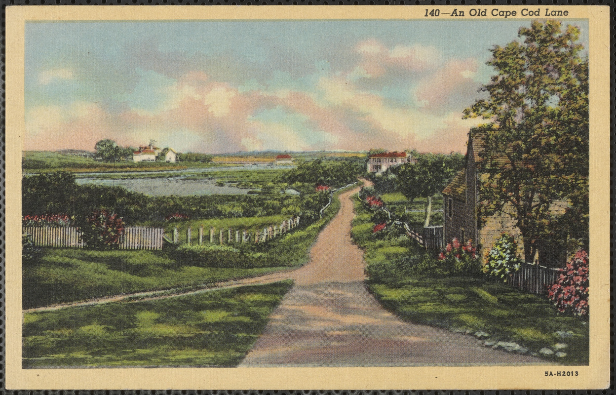 A view on the King's Highway on the north side of Cape Cod at ...
