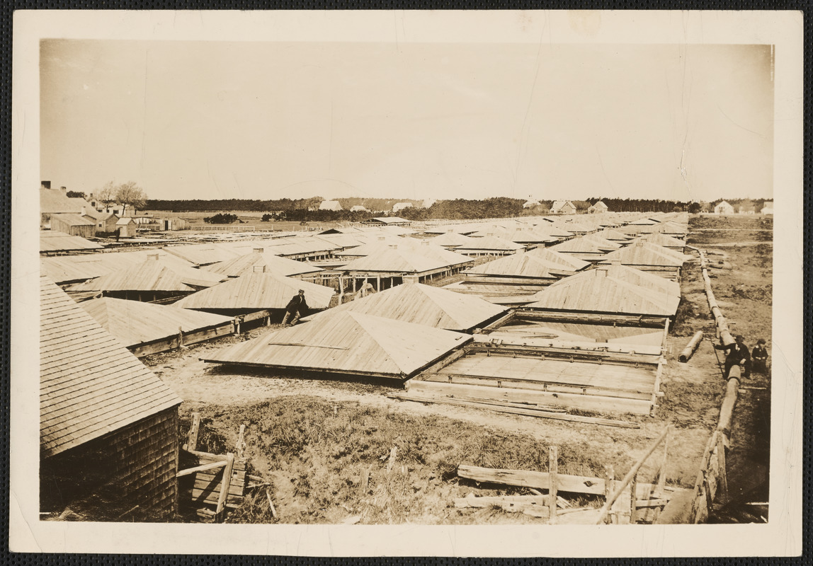 Old Salt Works, South Yarmouth, Mass. - Digital Commonwealth