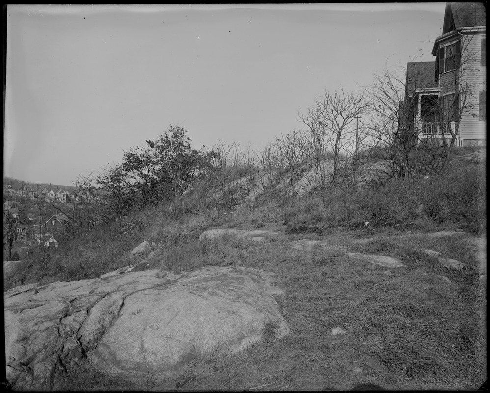 Houses to one side in the distance - Digital Commonwealth