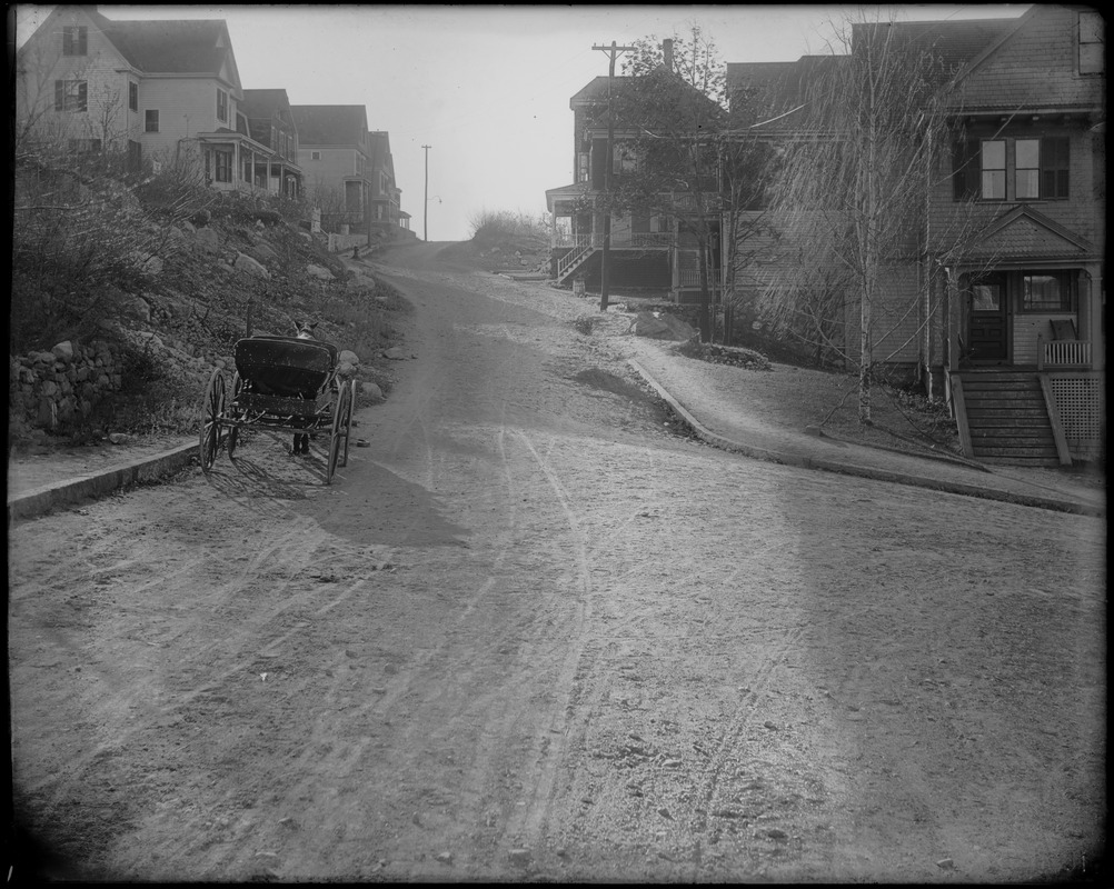 Dirt road with several houses - Digital Commonwealth