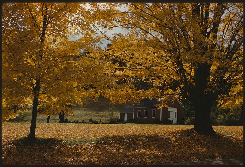 Country house and fall foliage - Digital Commonwealth