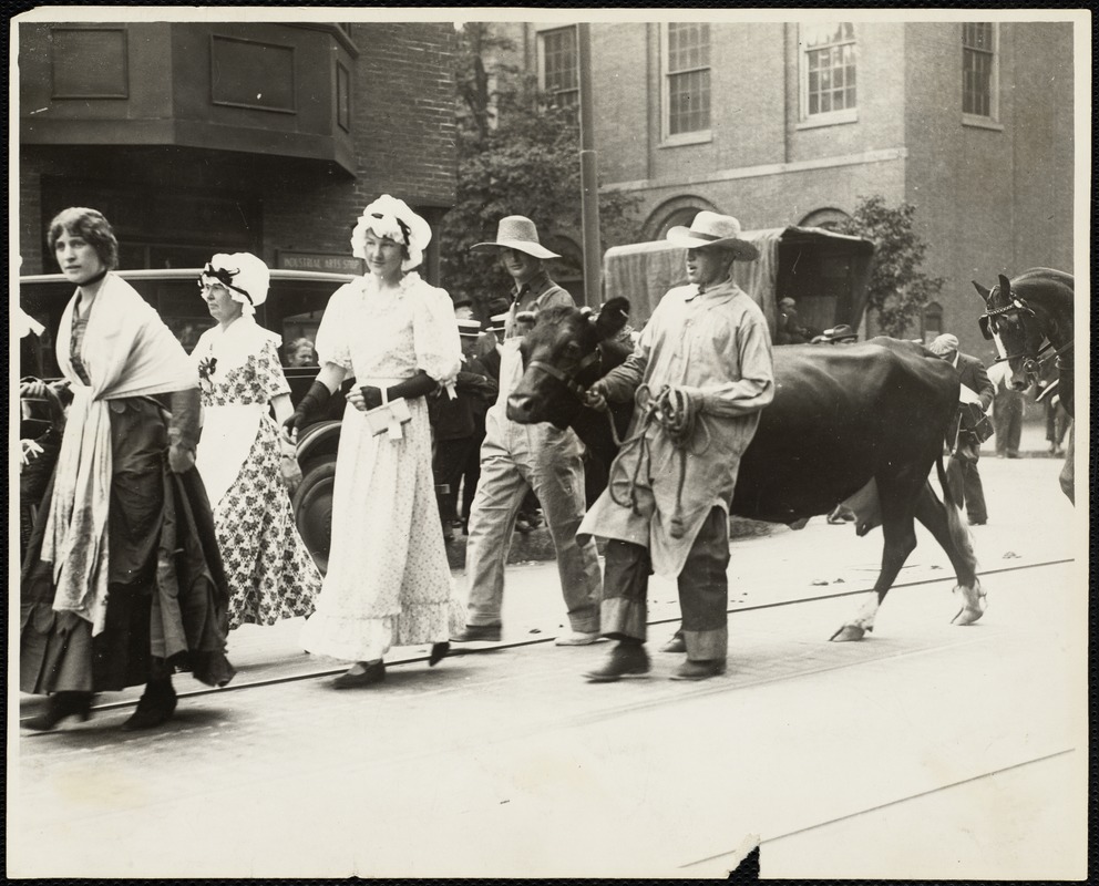 Old Boston Day, Beacon Hill - Digital Commonwealth