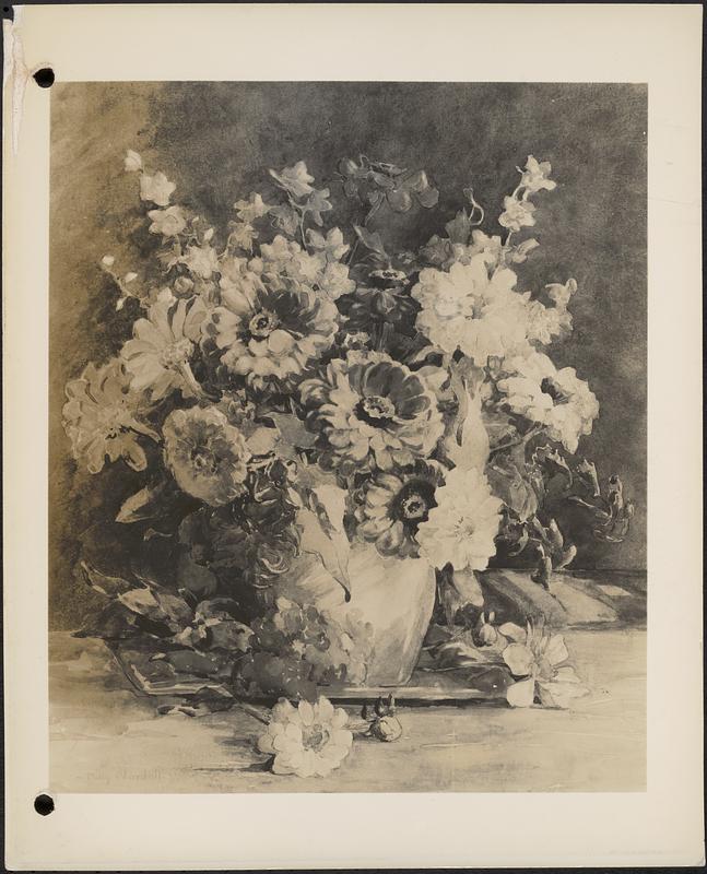 Zinnias - Digital Commonwealth