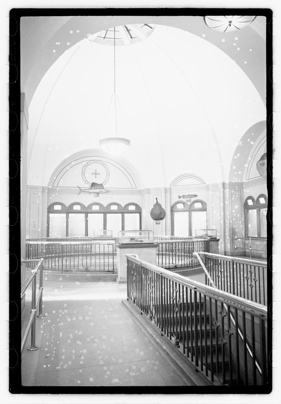 Interior, South Boston Aquarium - Digital Commonwealth