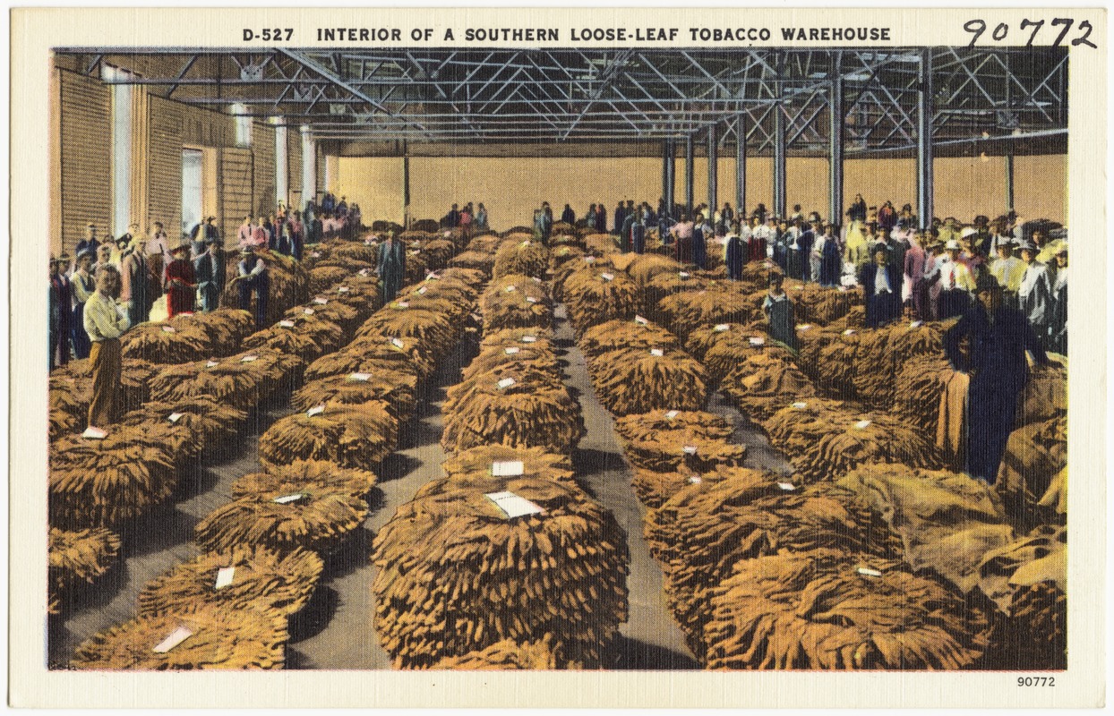 D-527. Interior of a Southern loose-leaf tobacco warehouse - Digital ...