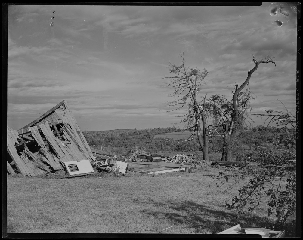 Building destroyed by tornado, next to damaged tree - Digital Commonwealth
