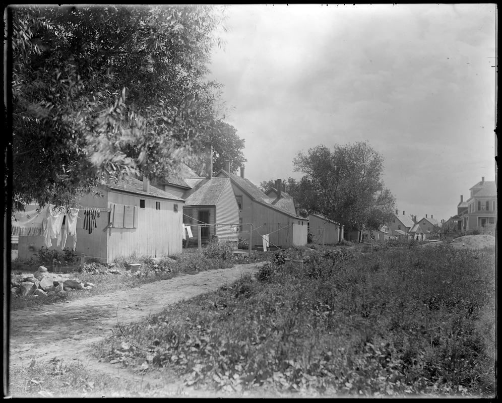 Rear of tenement, showing sheds - Digital Commonwealth