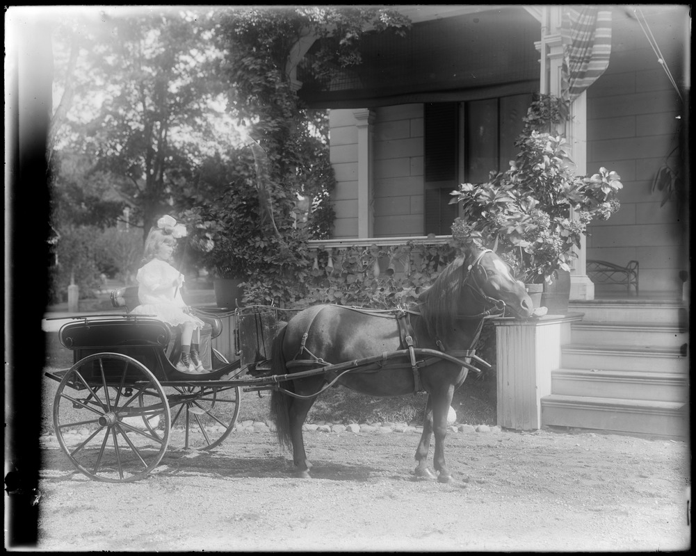 Grace Helen Talbot in pony cart, front of house - Digital Commonwealth