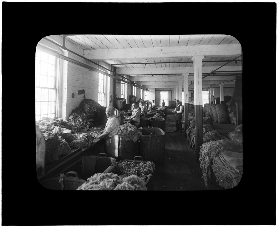 Wool sorting - Digital Commonwealth